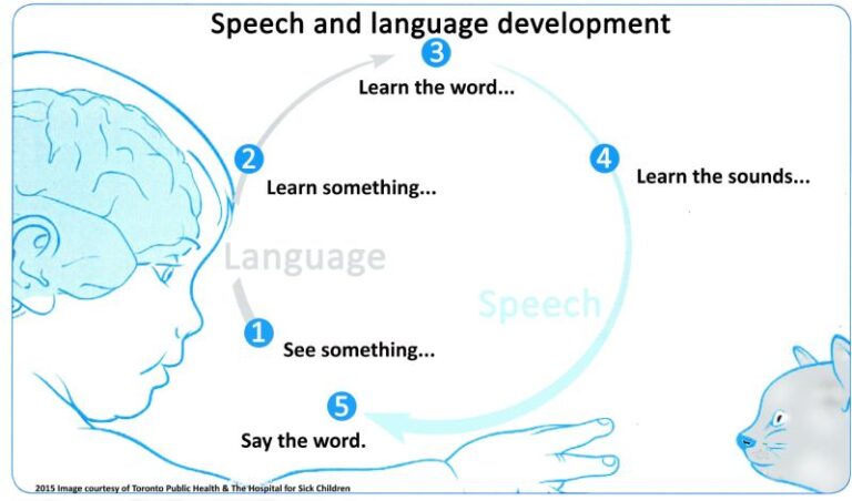 Pathways of Speech & Language Development - Surrey Place